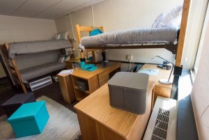 Single/Double/Triple Dorm Room Arrangement Ideas - POVISON Blogs